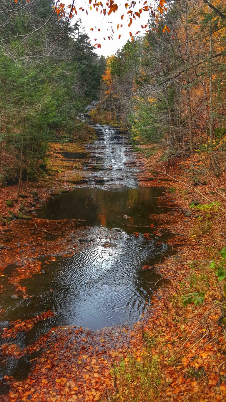 Watershed Fact Sheets - Hudson River Watershed Alliance